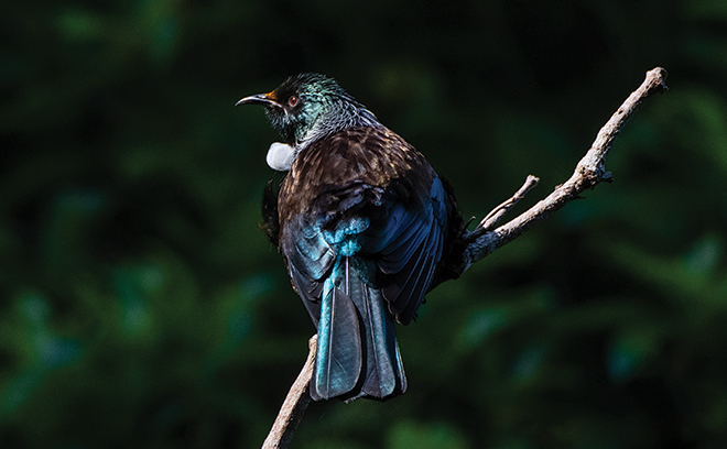 Our Plan | Climate Action and Biodiversity