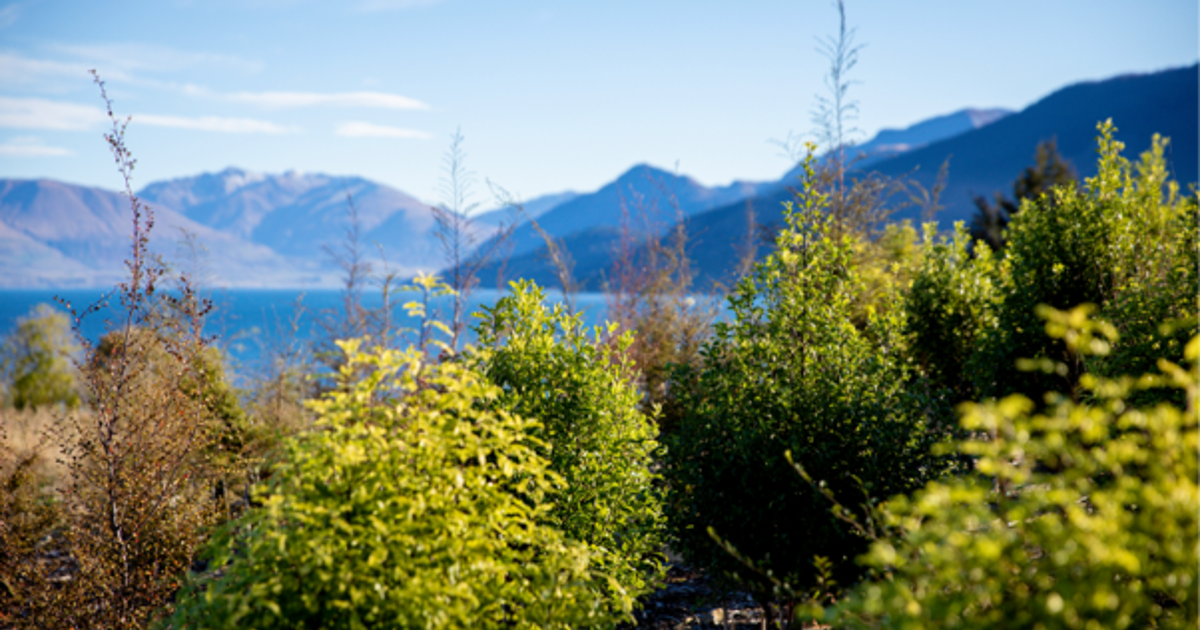 District Emissions Reduction Roadmap | Climate Action and Biodiversity